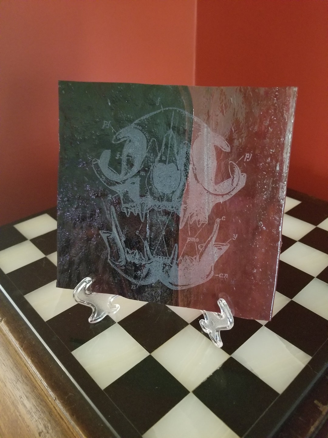 Cat Skull Exploded Anatomy Diagram Etching on Youghiogheny Stained ...
