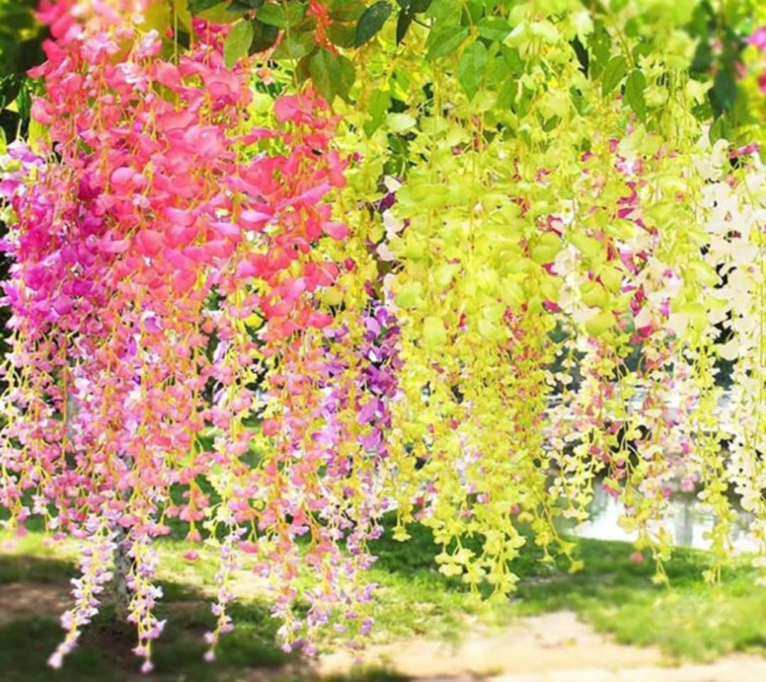 12pcs Flower Cascades Wedding Arch Swag Artificial Wisteria Flowers ...