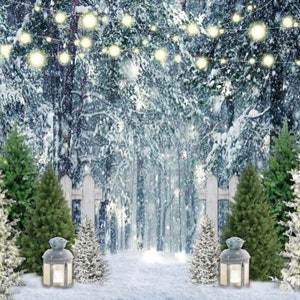 Winter Snow Landscape Photography Backdrop Banner Christmas Theme ...