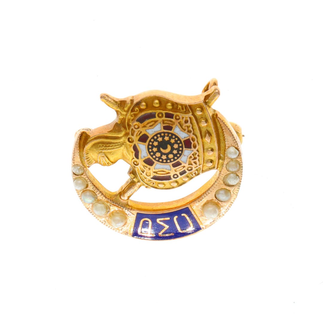 10k Gold Demolay PMC Enamel Lapel Pin – Vintage Fraternal Badge - Etsy