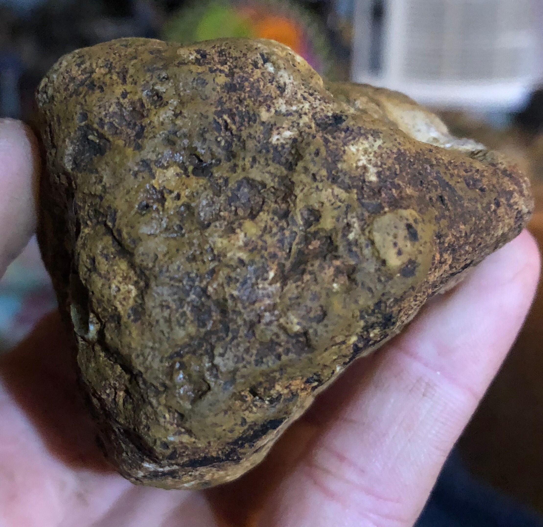 Translucent Multi Color Texas Flint Chert for Knapping Blue Green Gray ...