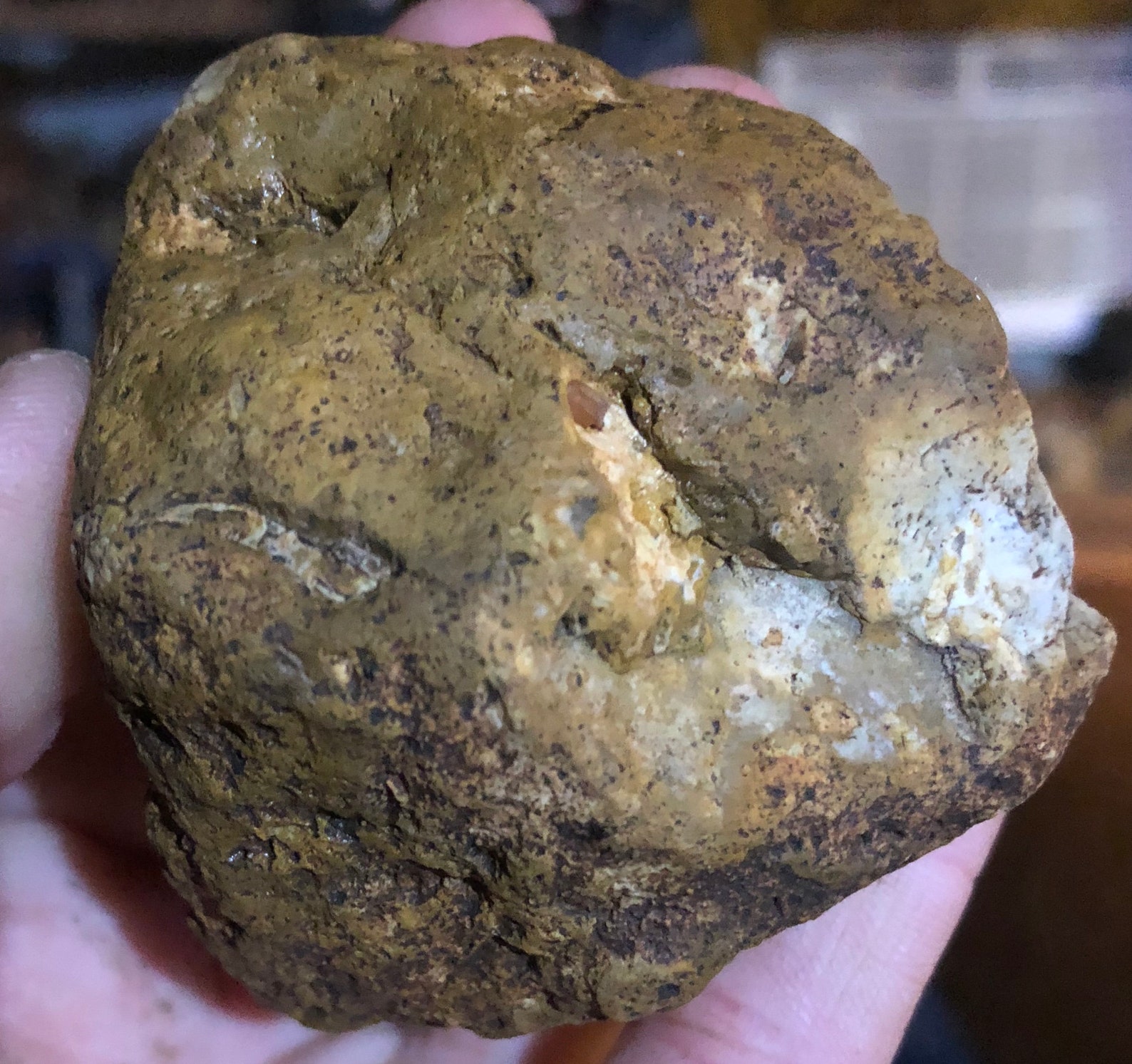 Translucent Multi Color Texas Flint Chert for Knapping Blue Green Gray ...