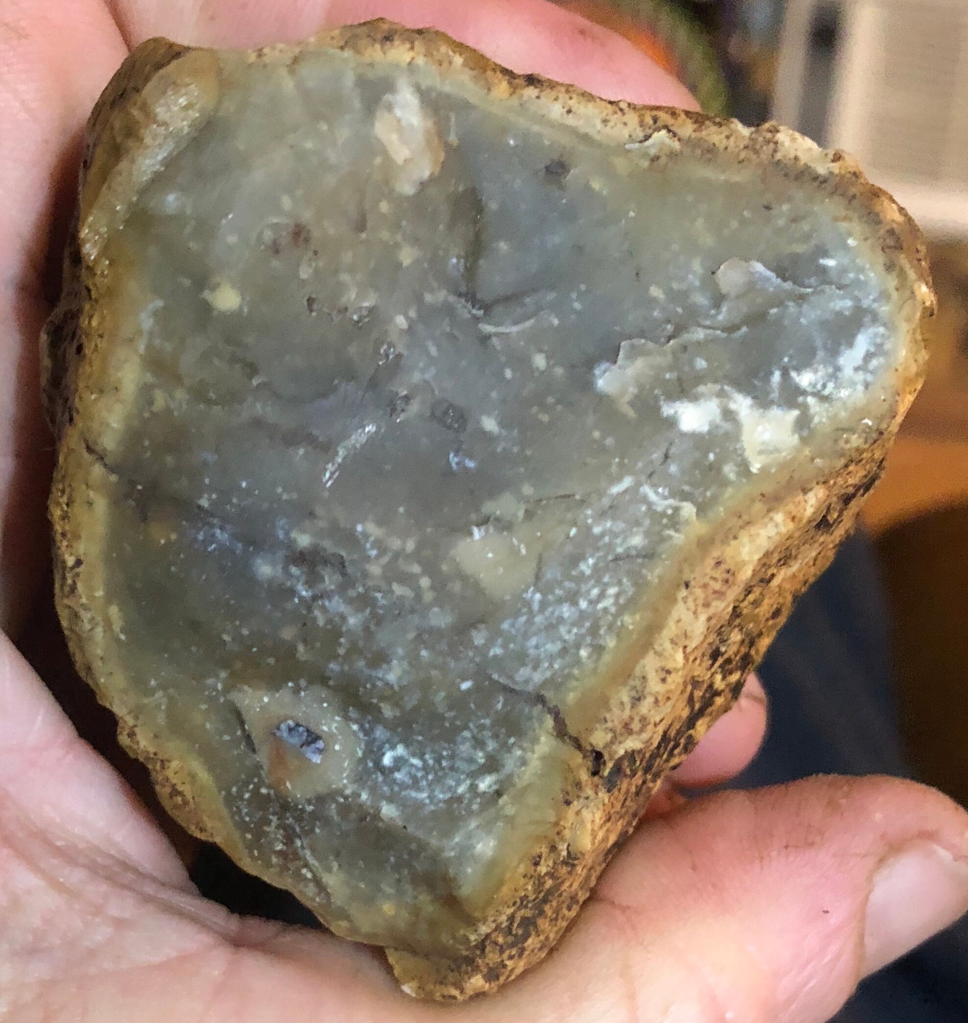 Translucent Multi Color Texas Flint Chert for Knapping Blue Green Gray ...