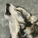Wolf Howling, Hear the Calling, Original Painting in Acrylic by ...