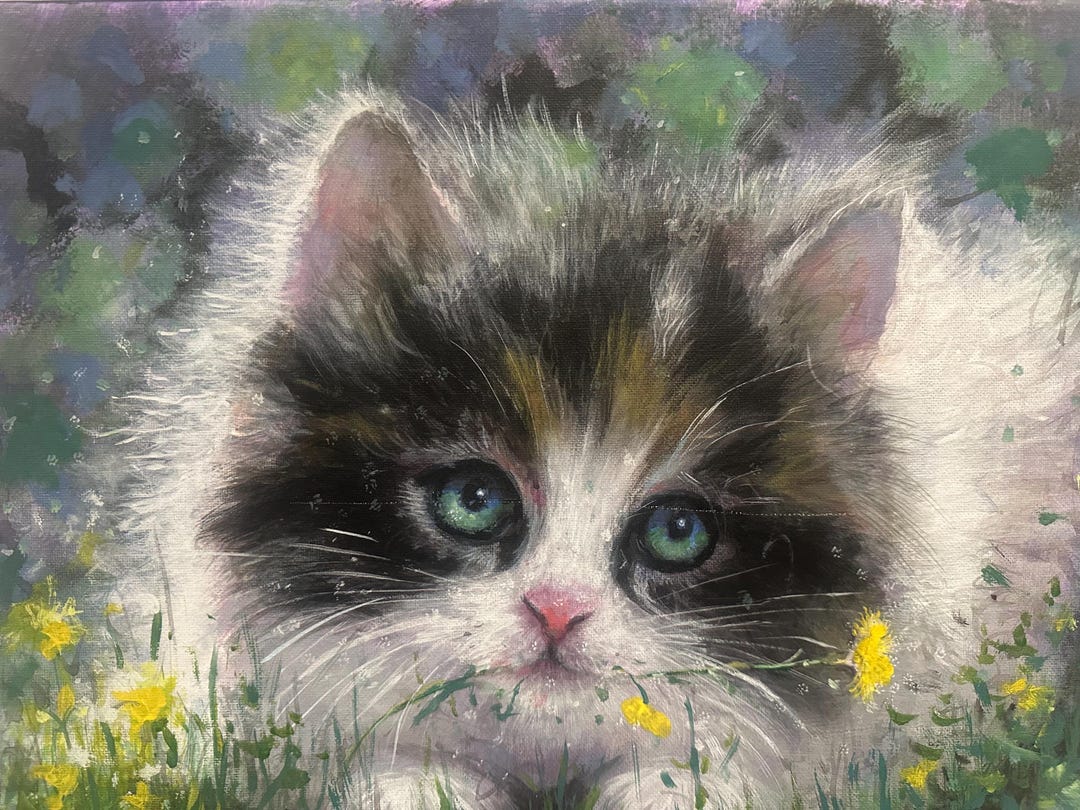 Angora Kitten, Little Miss Buttercup Original Cat Painting in Acrylic ...