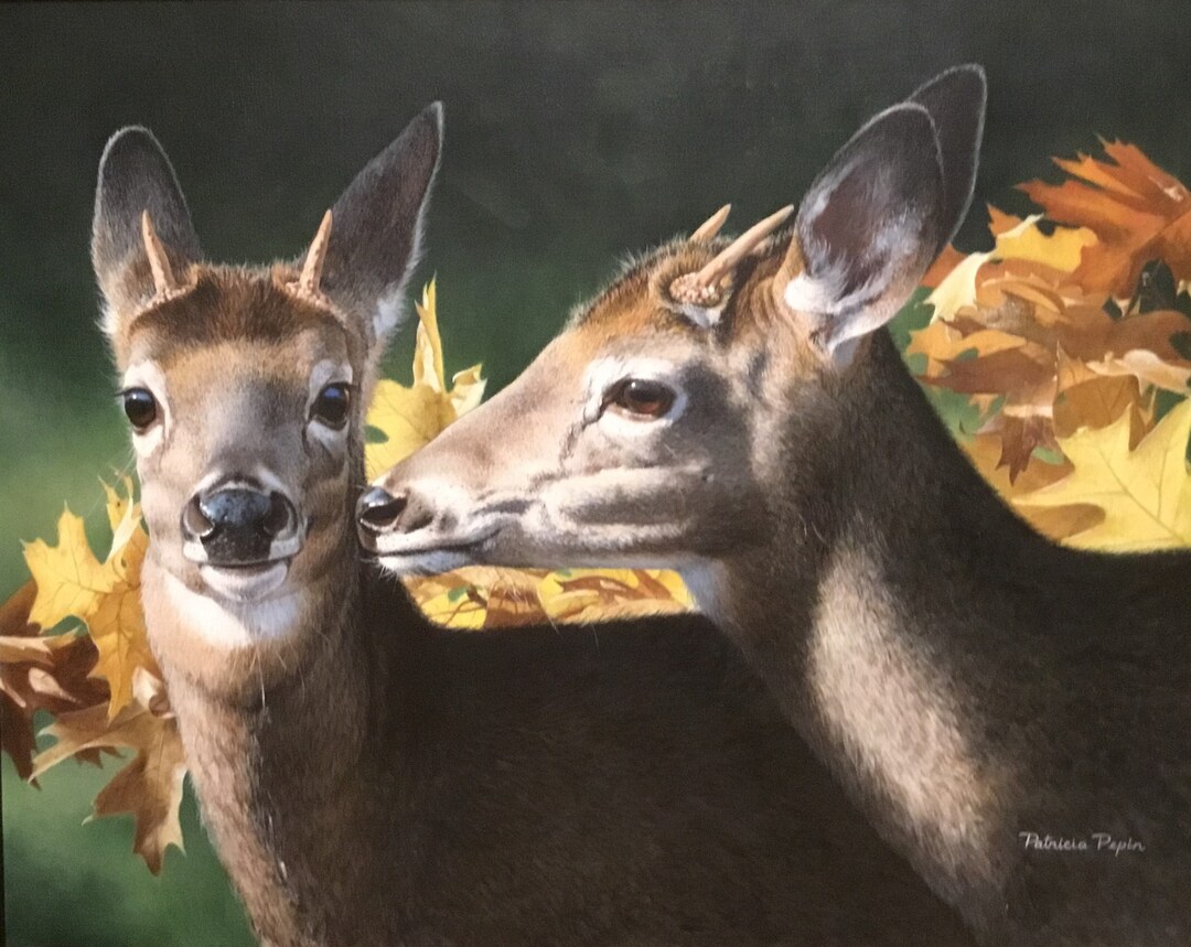 Original Wildlife Oil Painting Doe & Deer Artwork by Patricia - Etsy