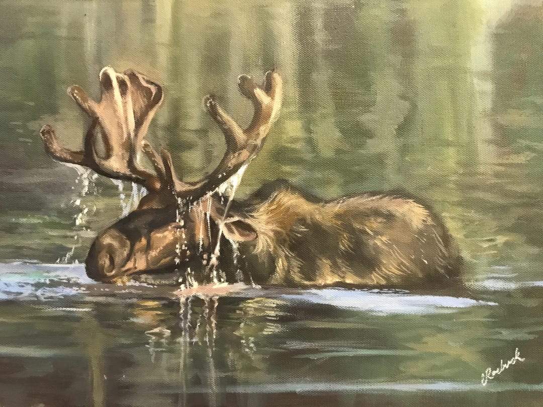 Moose, Canadian Wildlife Art Original Oil Painting - Etsy