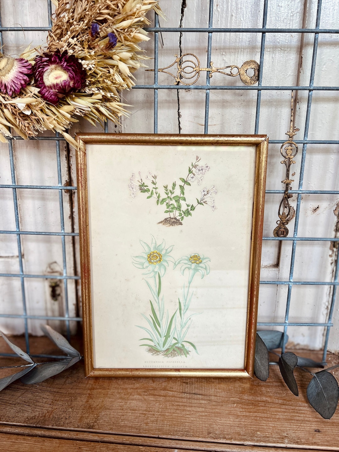 Antique Flowers French Botanical Print Floral Print Framed Botanical ...