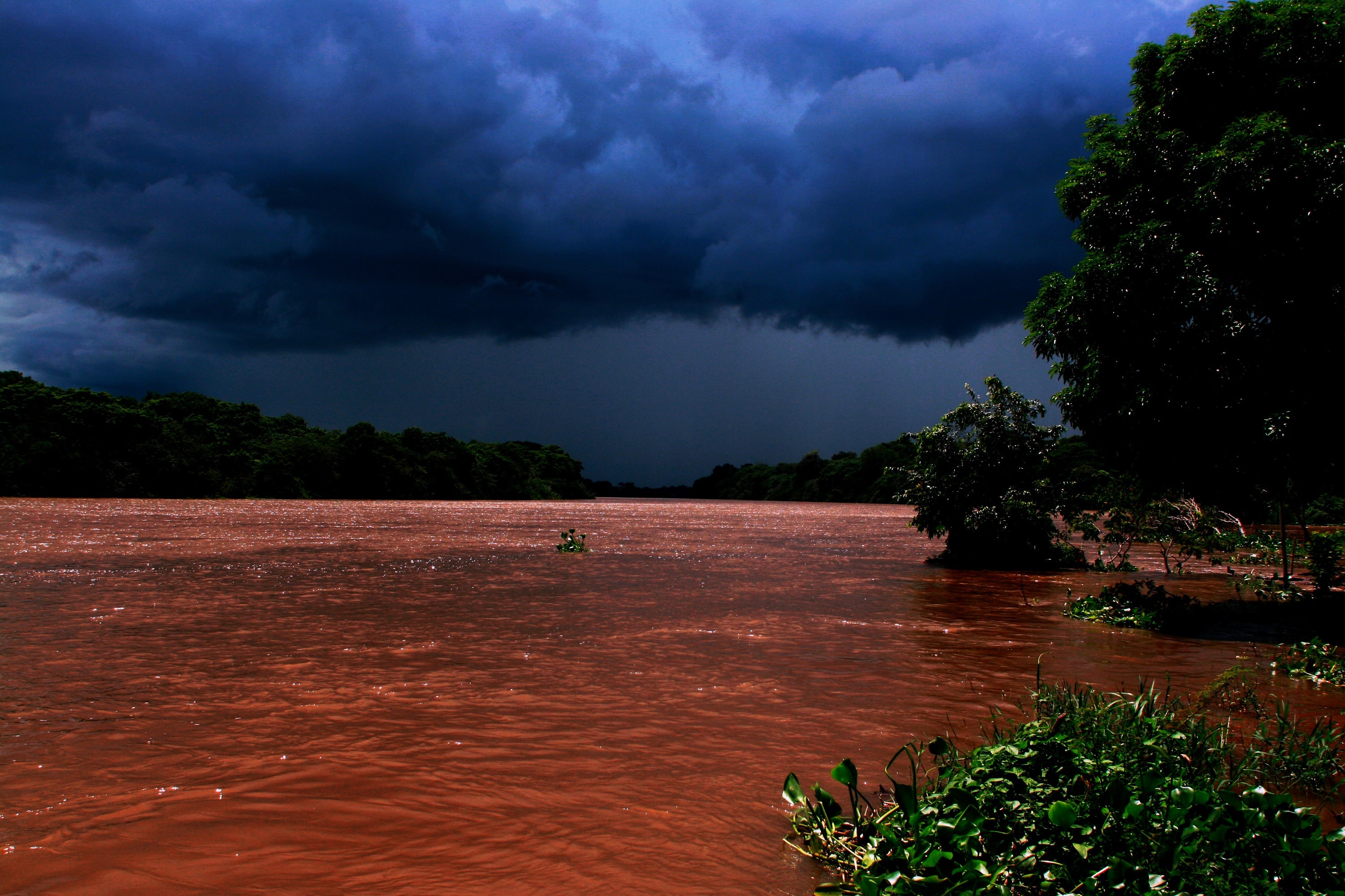 Beautiful Landscape of the Orinoco River - Etsy