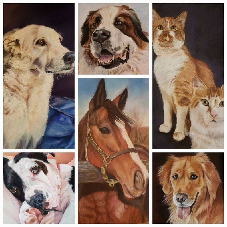 Custom Pastel Pet Portraits - Etsy