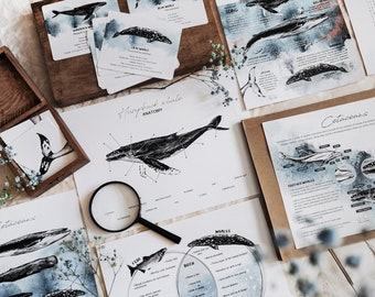 Whale Unit Study - Etsy