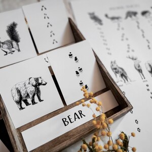 Printable Animal Tracks Print Cards Forest Animal Tracks - Etsy