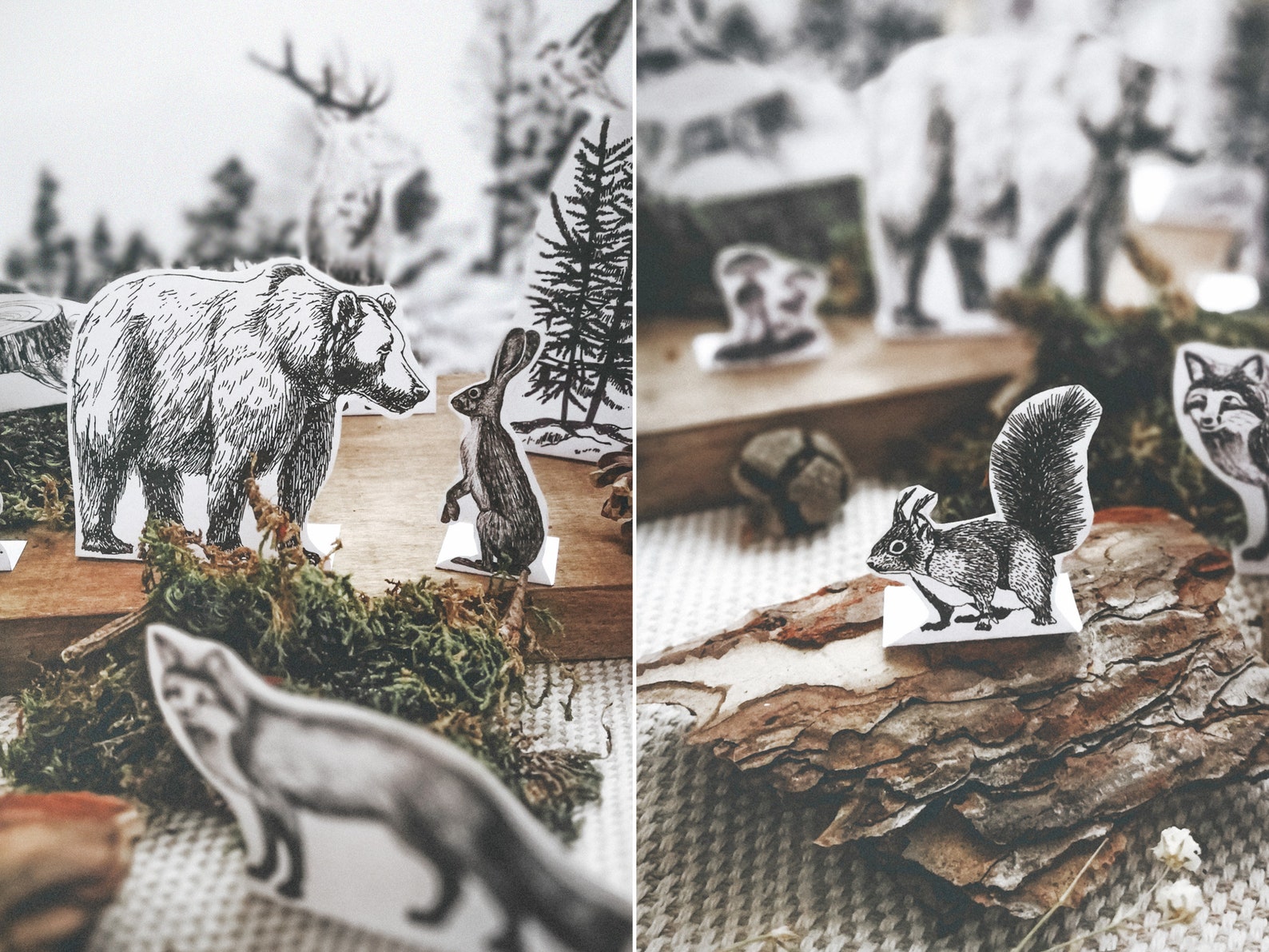 Printable Paper Theater Paper Craft for Kids Forest Animal - Etsy