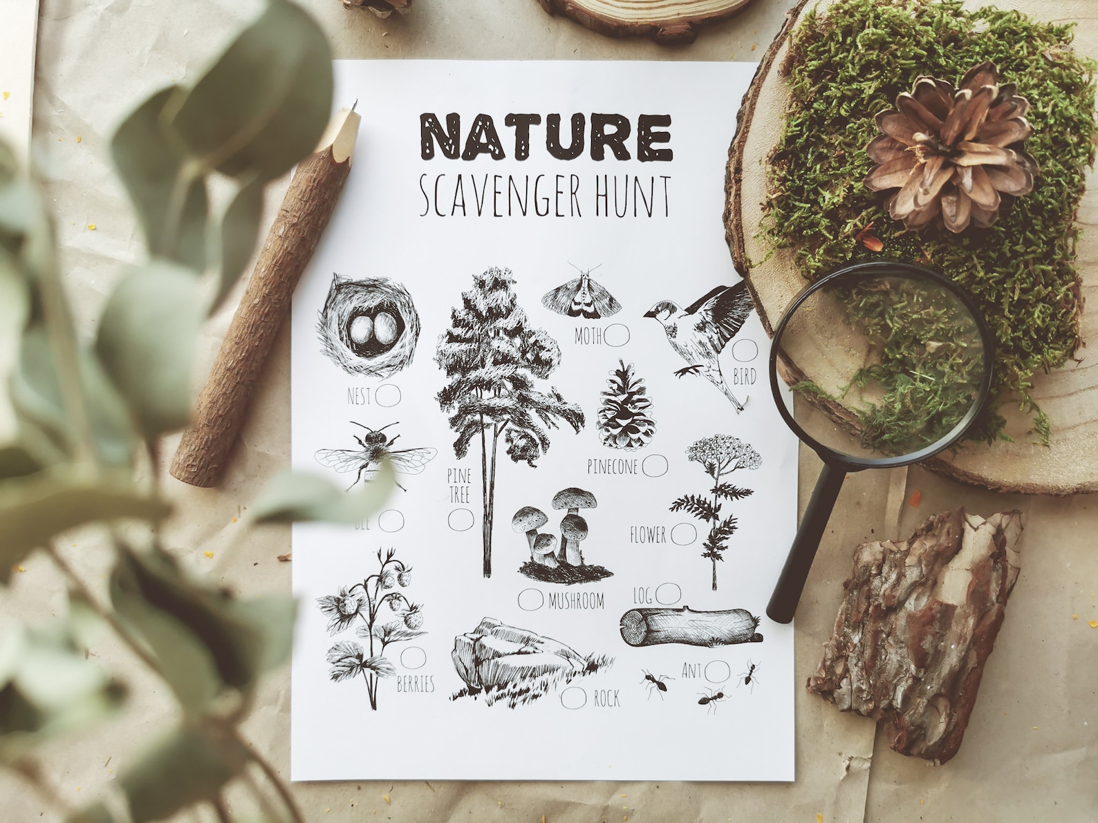Nature Scavenger Hunt Game Outdoors Game Nature Study - Etsy