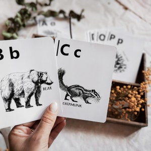 Alphabet & Numbers Flash Cards, Homeschool Printables, Montessori ...