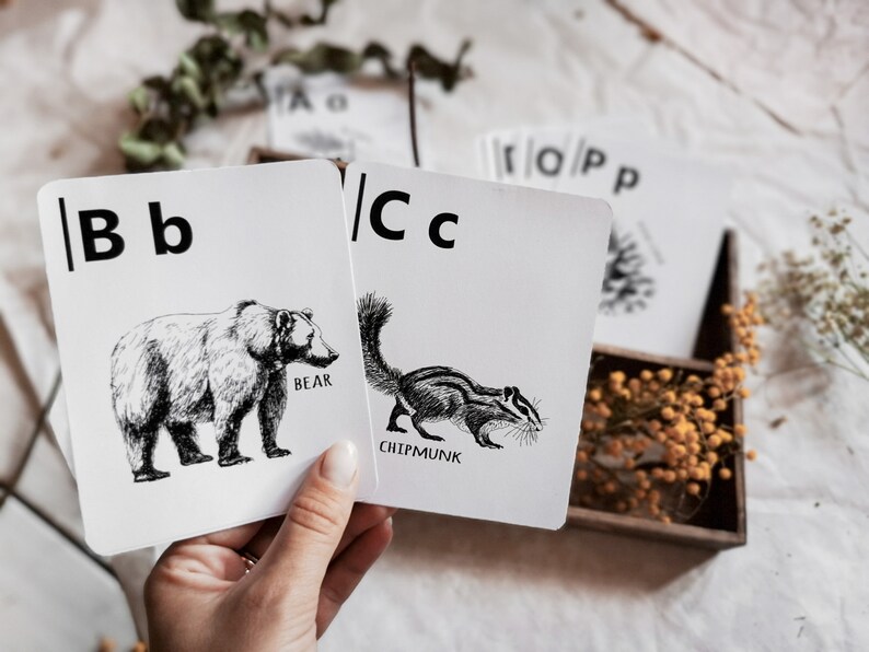 Alphabet & Numbers Flash Cards, Homeschool Printables, Montessori ...