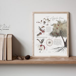 Educational Apple Tree Print for Classroom, Printable Homeschooling ...