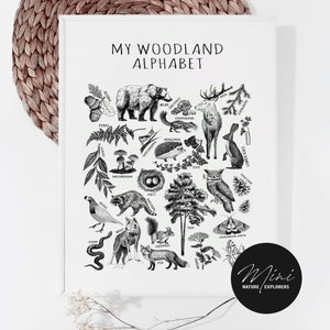 Forest animal print Homeschool wall art Playroom alphabet | Etsy