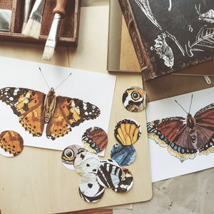 Monarch Butterfly Unit Study - 42 Pages - Etsy
