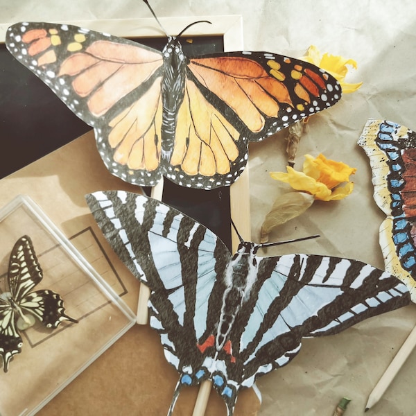 Large Butterfly - Etsy