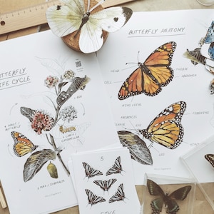 MONARCH BUTTERFLY Nature Study 40 Pages, Life Cycle, Anatomy, Unit ...