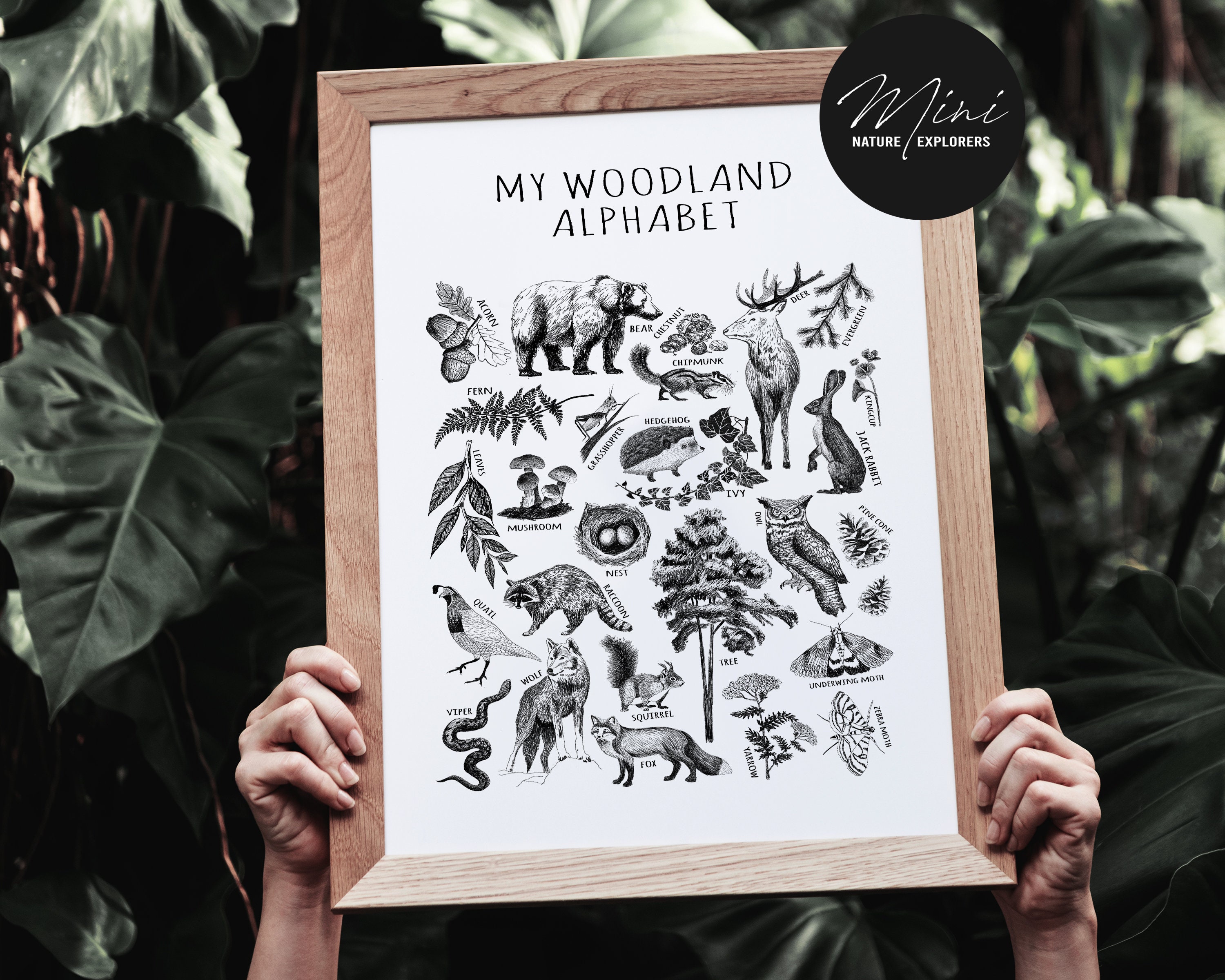 Forest animal print Homeschool wall art Playroom alphabet | Etsy