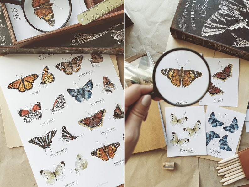 Monarch Butterfly Unit Study 42 Pages - Etsy
