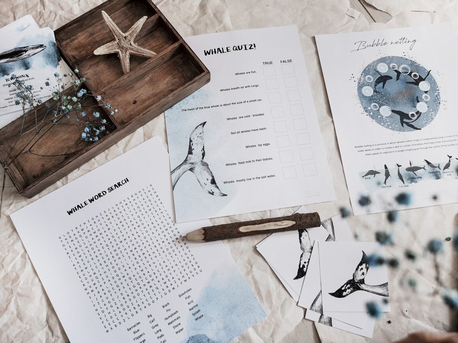 Whale Unit Study - Etsy