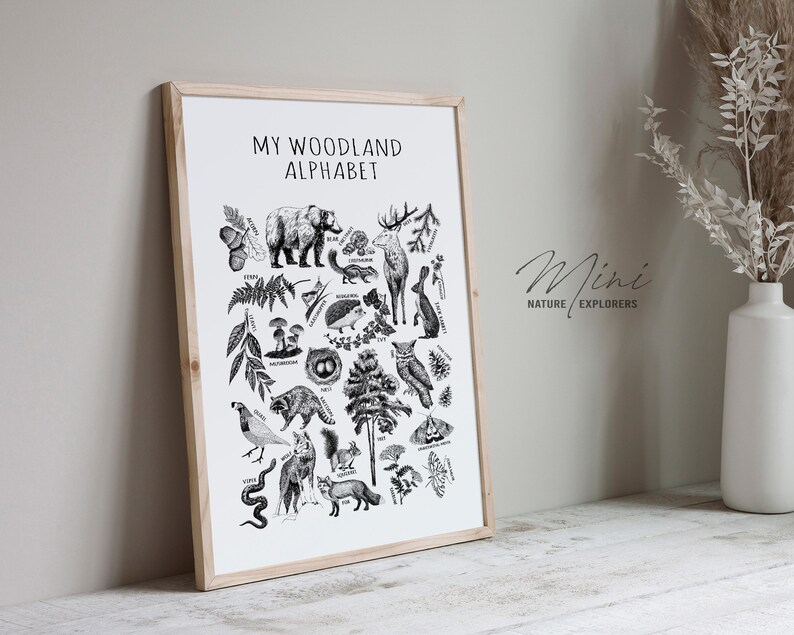 Forest Animal Print Homeschool Wall Art Playroom Alphabet - Etsy