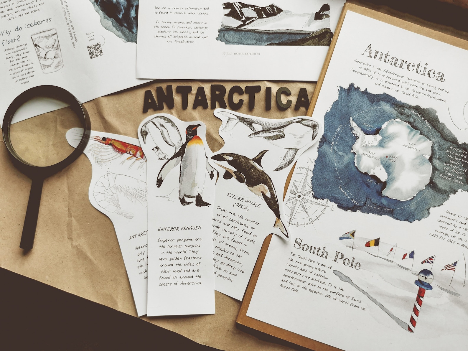 Antarctica Unit Study - Etsy