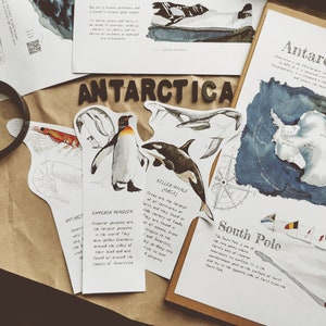 Antarctica Unit Study - Etsy