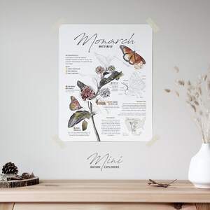 Educational Monarch Butterfly Print for Classroom, Printable ...