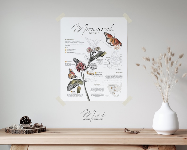 Educational Monarch Butterfly Print for Classroom Printable | Etsy