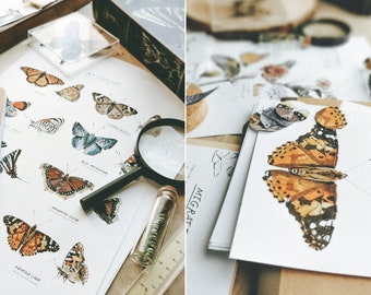 MONARCH BUTTERFLY Nature Study 40 Pages, Life Cycle, Anatomy, Unit ...