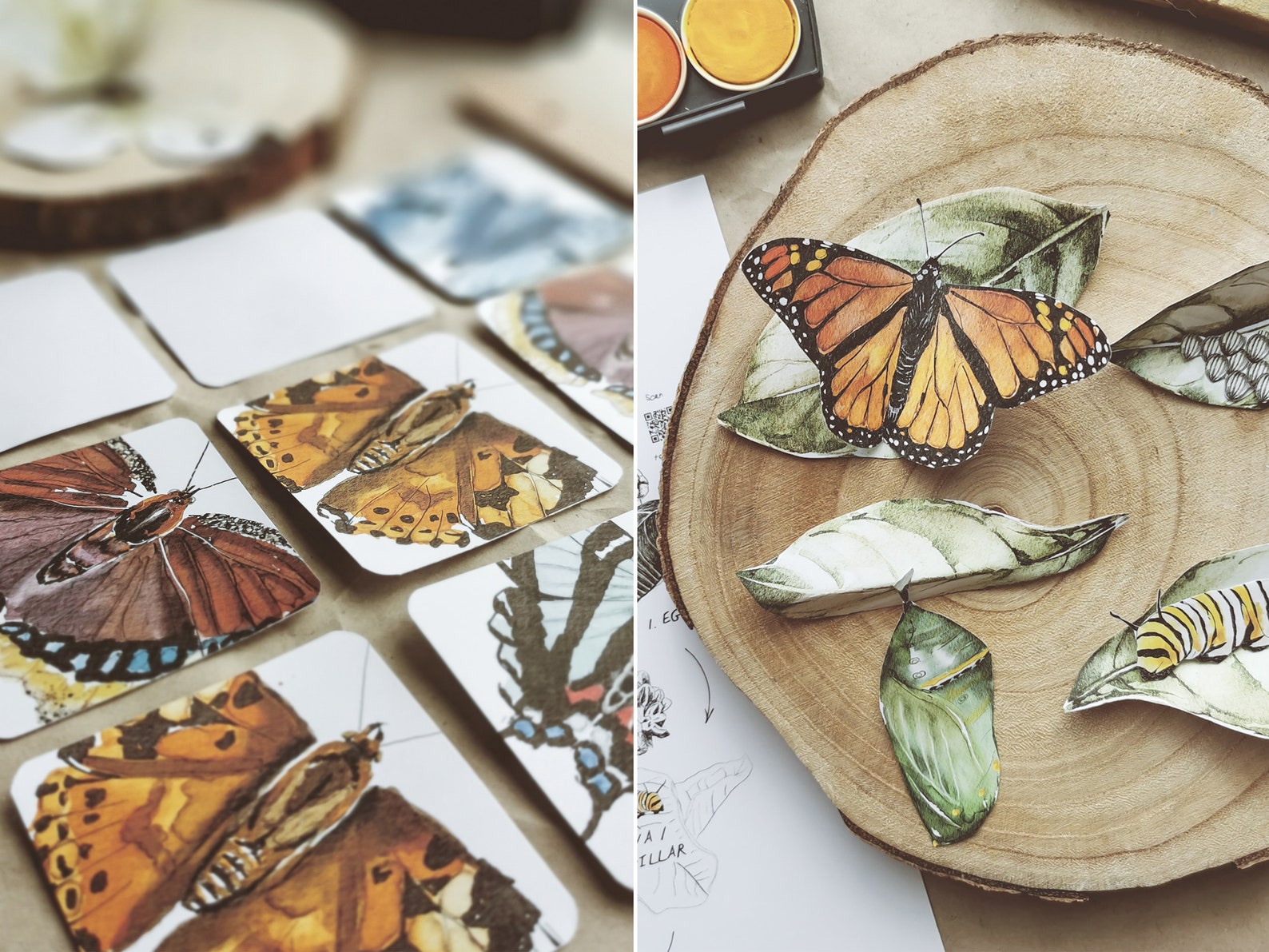 Monarch Butterfly Unit Study 42 Pages - Etsy