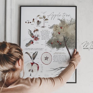 Educational Apple Tree Print for Classroom, Printable Homeschooling ...