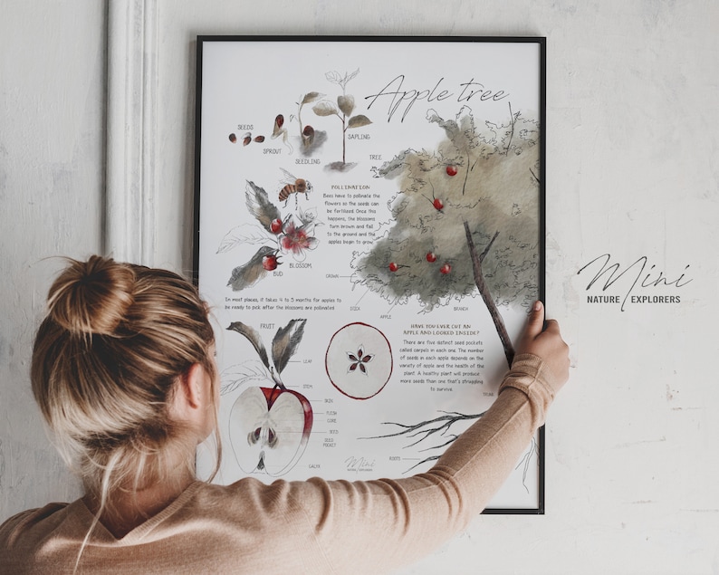 Educational Apple Tree Print for Classroom Printable - Etsy