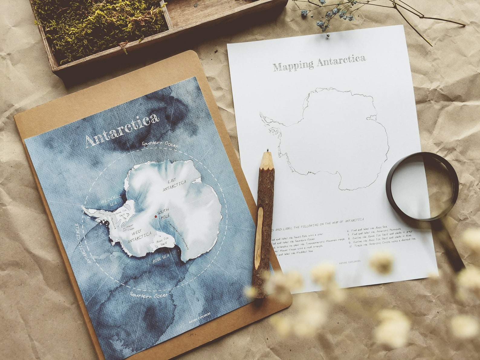 Antarctica Unit Study - Etsy