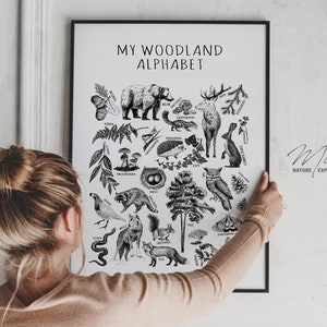 Forest Animal Print, Homeschool Wall Art, Playroom Alphabet, Forest ...