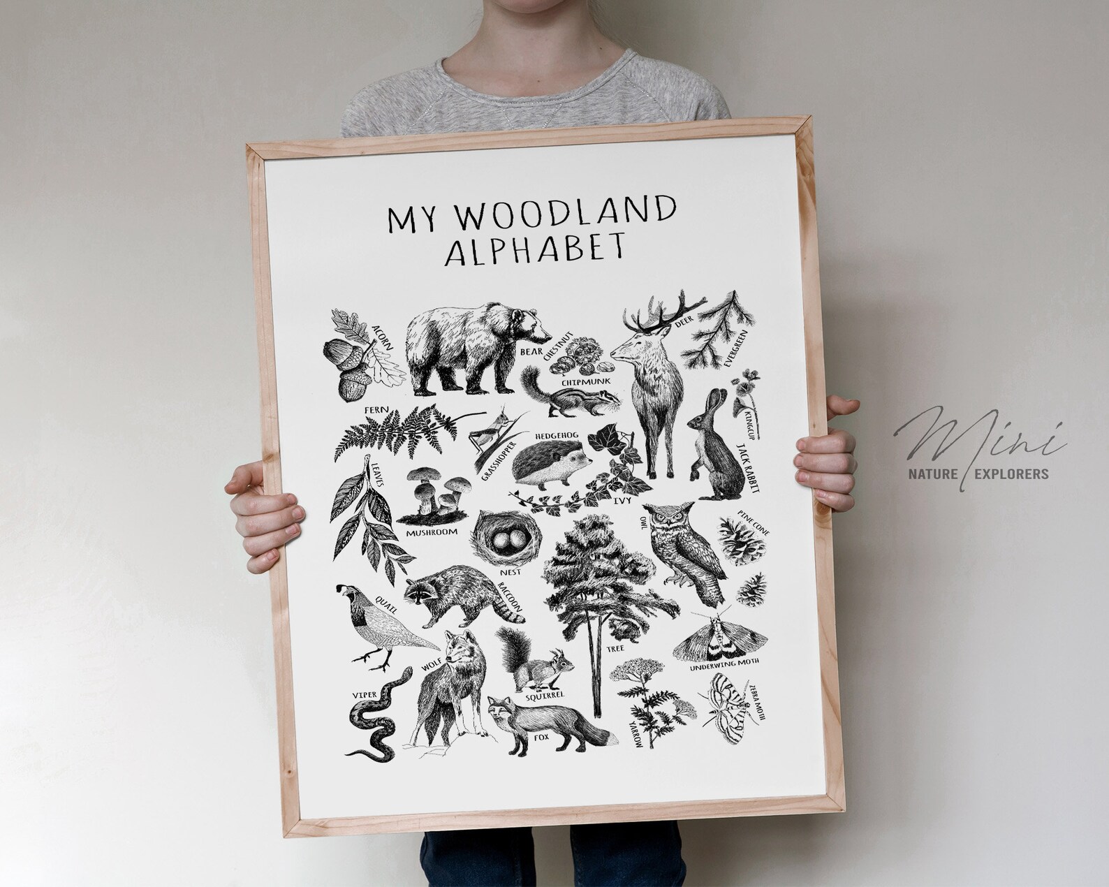 Forest Animal Print Homeschool Wall Art Playroom Alphabet | Etsy