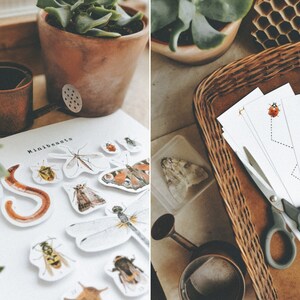 Minibeast Unit Study - 66 Pages - Etsy