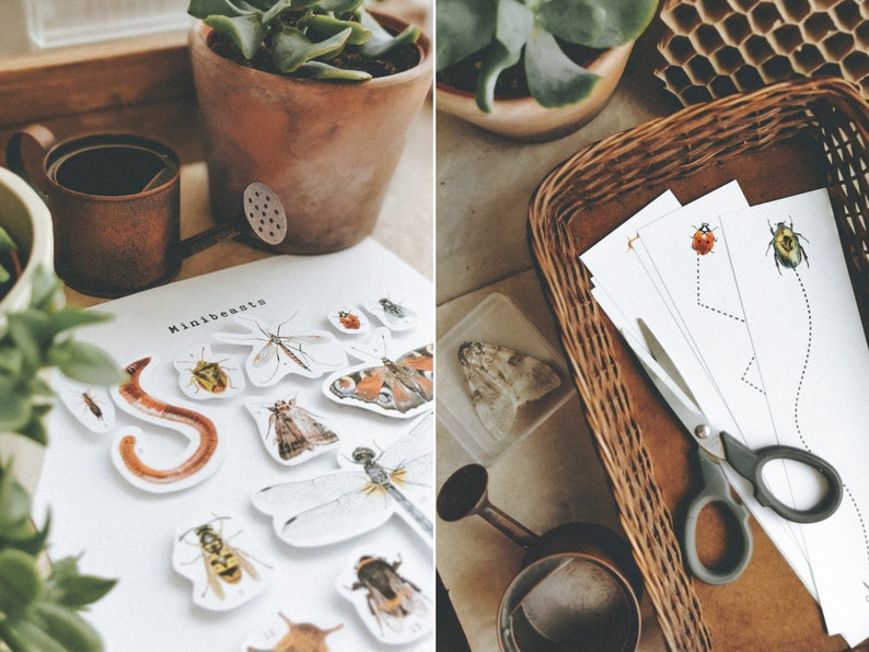 Minibeast Unit Study 66 Pages - Etsy