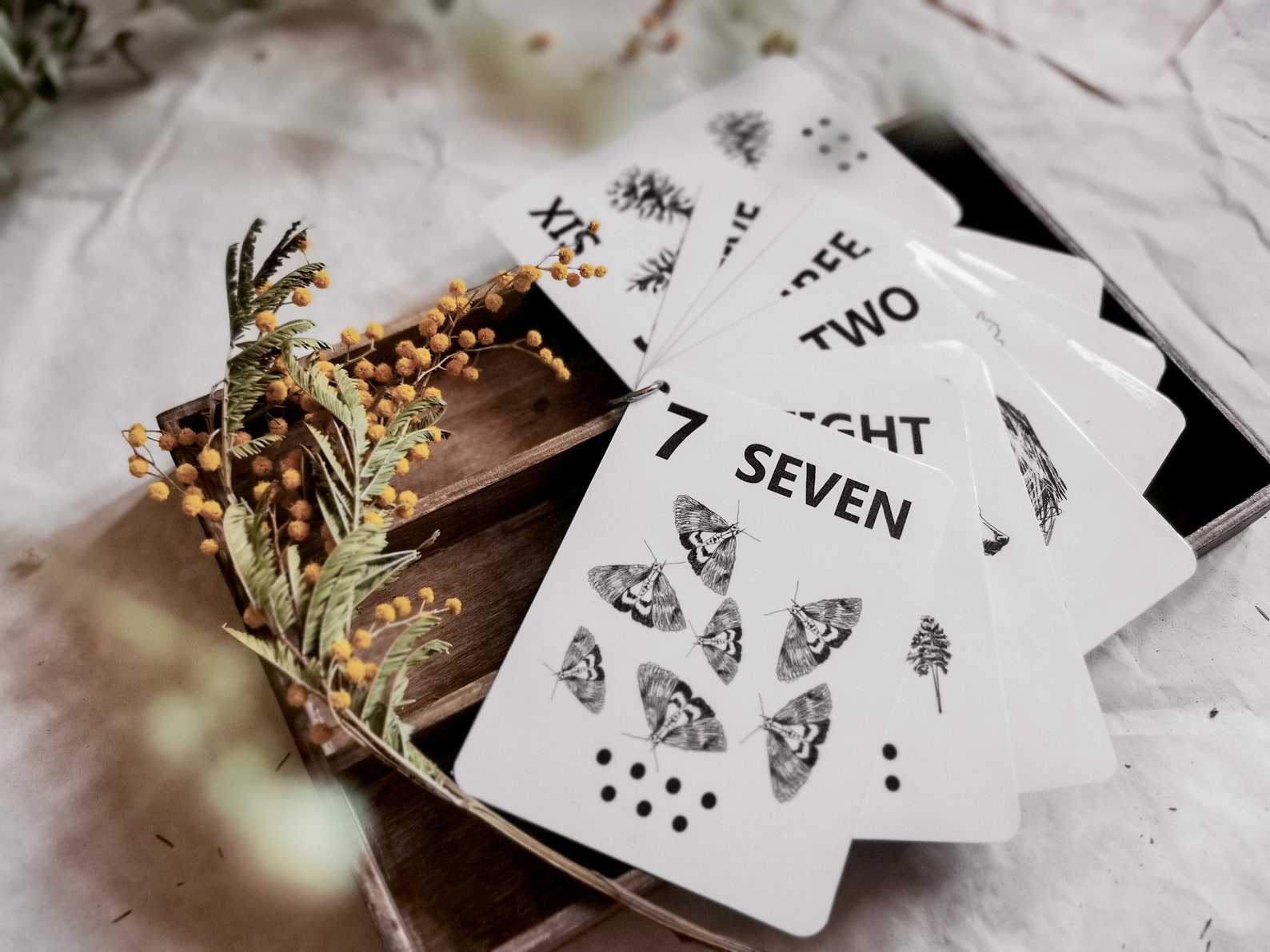 Printable Number Flash Cards Couting Card Set 0 10 - Etsy