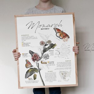 Educational Monarch Butterfly Print for Classroom, Printable ...