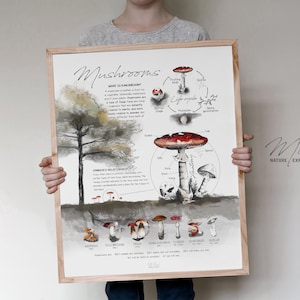 Educational Mushroom Wall Art, Homeschool Decor, Printable Classroom ...