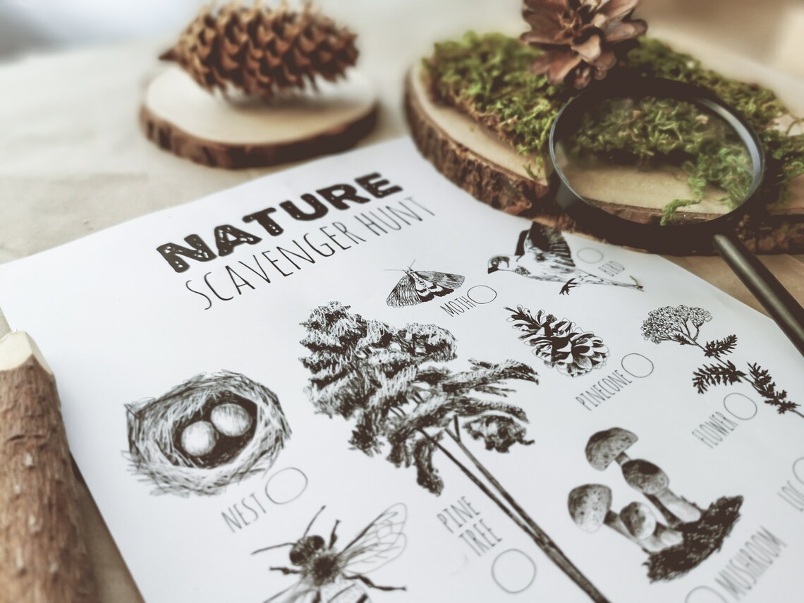Nature Scavenger Hunt Game Outdoors Game Nature Study - Etsy
