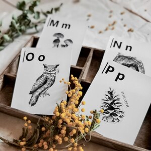 Alphabet & Numbers Flash Cards, Homeschool Printables, Montessori ...