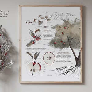 Educational Apple Tree Print for Classroom, Printable Homeschooling ...