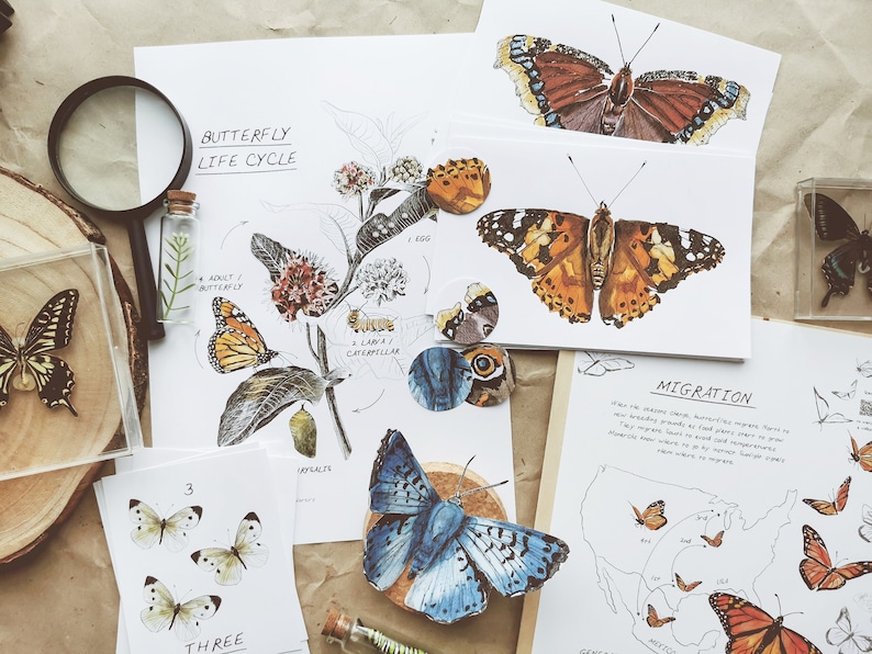 Monarch Butterfly Unit Study 42 Pages - Etsy