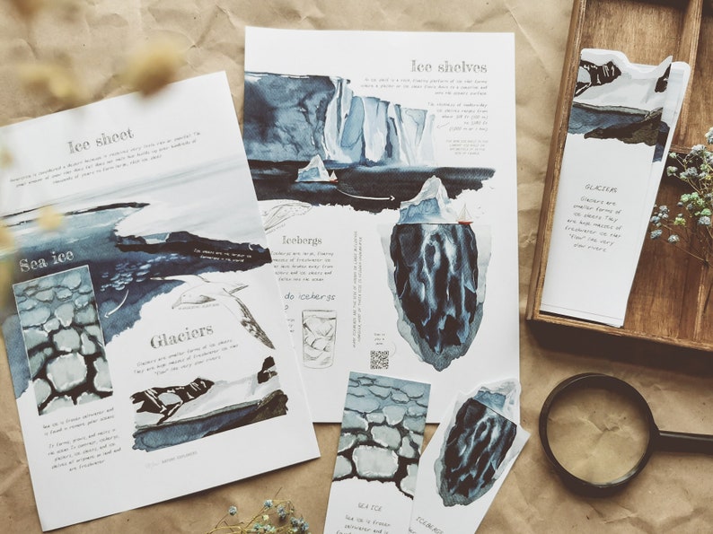 Antarctica Unit Study - Etsy